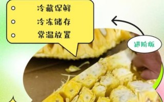 菠萝蜜太多吃不完怎么办_如何保存不浪费