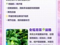 青菜吃多了有什么坏处_长期大量吃青菜的副作用