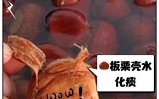 板栗壳煮水喝有什么功效_板栗壳能降血糖吗