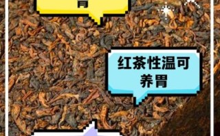 熟茶的功效与作用_熟茶怎么喝才养胃