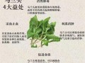 马兰头怎么凉拌好吃_马兰头焯水几分钟才翠绿