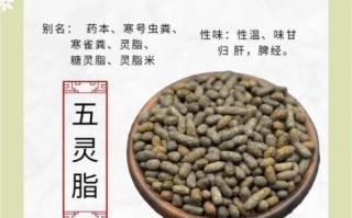 燃烧脂肪最快的中药有哪些_真的有用吗