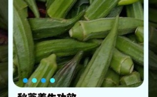 女人吃秋葵有什么好处_秋葵对女人有哪些功效