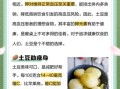 土豆能减肥吗_土豆怎么吃最营养