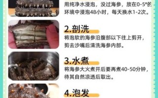 海参怎么做好吃_海参怎么泡发最好