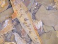 青海湟鱼多少钱一斤2018_湟鱼价格行情