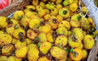 刺梨多少钱一斤_刺梨价格为什么差别大