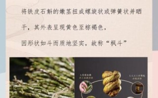 铁皮石斛哪些人不能吃_铁皮石斛禁忌人群