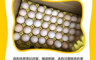 贵妃鸡蛋和普通鸡蛋有什么区别_营养价值对比