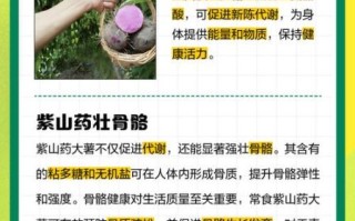 大薯的功效与作用禁忌_大薯什么人不能吃