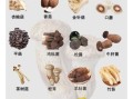 菌菇类有哪些_常见食用菌品种大全