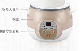 养生电炖锅怎么用_养生电炖锅哪个牌子好