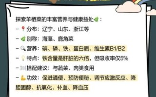 羊栖菜怎么读_羊栖菜的功效与作用