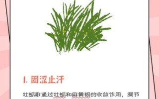 牡蛎散适合什么人吃_牡蛎散功效与作用