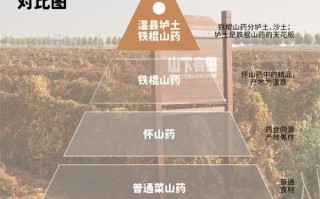 中里巴人官网在哪_山药社区怎么找