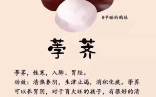 吃荸荠的好处和坏处_孕妇能吃吗