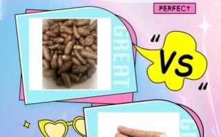 山药豆和山药的营养价值有区别吗_哪个更适合日常食用