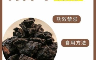 何首乌怎么吃效果最好_何首乌食用方法禁忌
