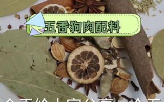 狗肉蘸料酱怎么做_狗肉蘸料酱配方大全