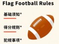 橄榄球规则视频_如何看懂比赛