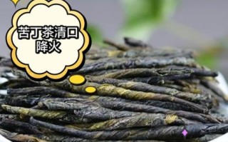 苦丁茶降血压吗_苦丁茶怎么喝降压效果好