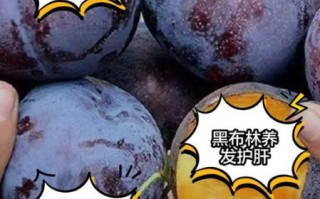 黑布林的功效与作用_黑布林怎么吃最健康