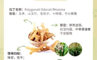 新鲜玉竹的功效与作用_怎么吃效果最好