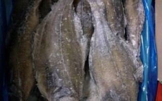 鸦片鱼图片多少钱一斤_鸦片鱼价格行情