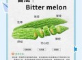 苦瓜的功效与禁忌_苦瓜不能和什么一起吃