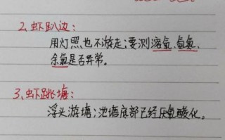 对虾怎么养才能多活三天_对虾暂养不死技巧