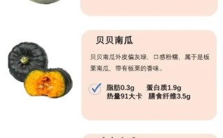 番瓜和南瓜的区别_哪个更营养