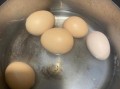 八爪鱼炖肉怎么做_八爪鱼炖肉的家常做法