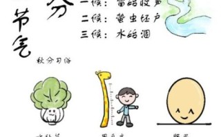 秋分节气的含义是什么_秋分有哪些传统习俗