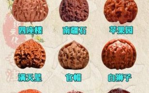 文玩核桃种类价格表_如何挑选高性价比品种