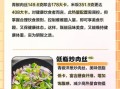 辣椒炒肉热量_减肥能吃吗