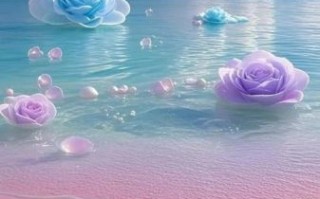 唯美图片大全哪里找_如何挑选高清唯美壁纸