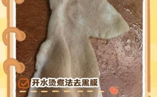 羊肚怎么洗才干净_羊肚去黑膜最快方法