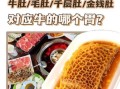 毛肚和牛肚的区别_哪个部位更好吃