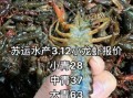 养殖20亩龙虾一年利润多少_成本与收益详细分析