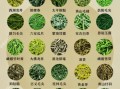 什么是绿茶_绿茶有哪些