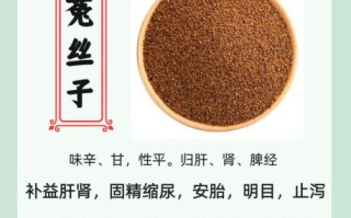 菟丝子补肾壮阳吗_菟丝子能提高性功能吗