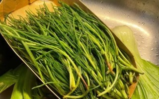 毛菜是什么菜_毛菜和豆芽菜区别