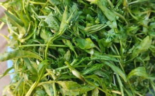 茴香苗饺子馅怎么调好吃_茴香苗饺子馅的做法大全