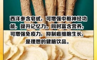 西洋参片的功效与作用_西洋参片适合什么人吃