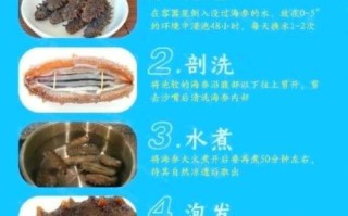 干海参怎么发泡才好_干海参发泡的正确方法