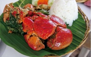 椰子蟹怎么开椰子_椰子蟹开椰子视频全过程