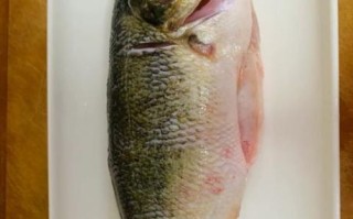 鲈鱼清蒸多久_鲈鱼清蒸几分钟最佳