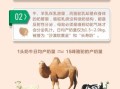 骆驼奶的功效与作用_骆驼奶适合什么人喝