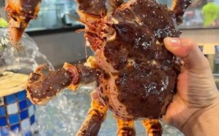 长腿蟹怎么养_长腿蟹能活多久