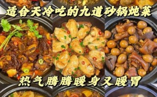 砂锅炖菜菜谱大全图片_砂锅炖菜怎么做才好吃